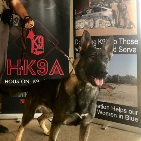 Norman - K9 Officers